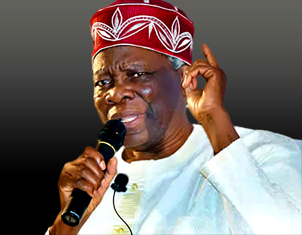Tinubu after personal interest, says Akintoye - The Editorial