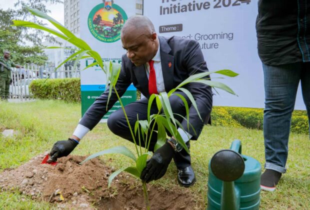 UBA Foundation embarks on one-million one-year tree-planting journey ...