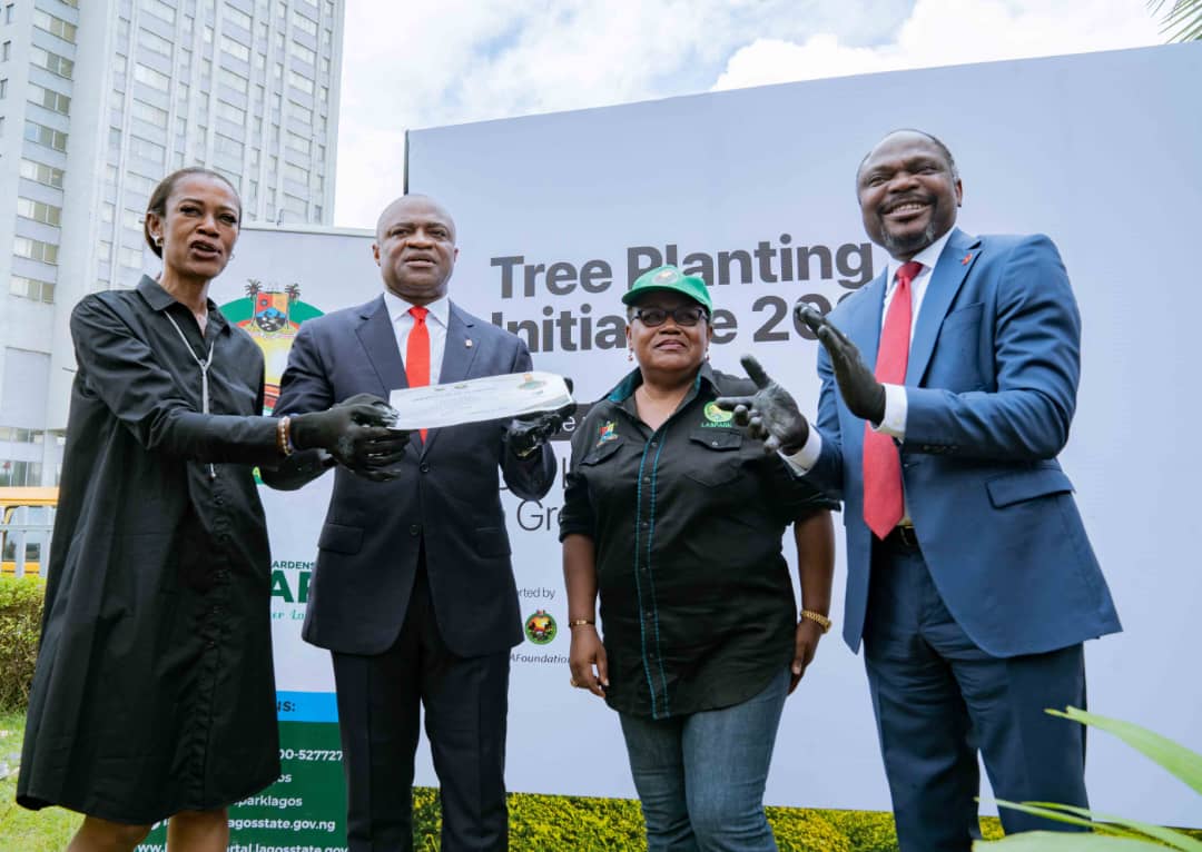 UBA Foundation embarks on one-million one-year tree-planting journey ...