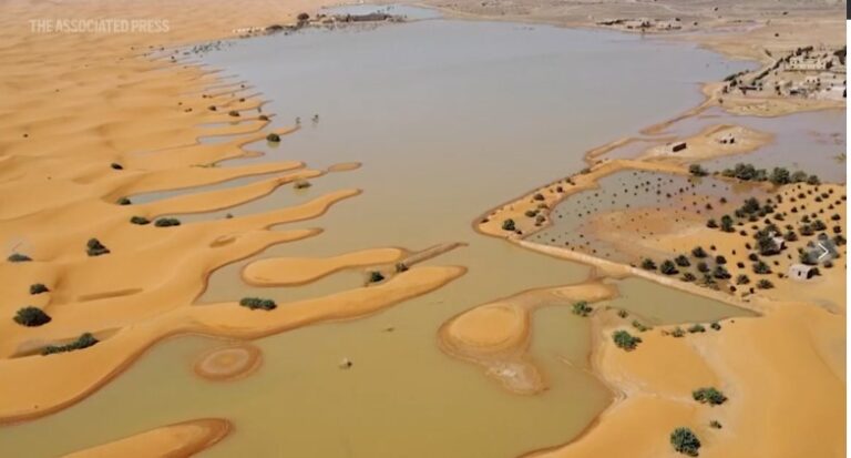 Sahara Desert witnesses first flooding in 50 years - The Editorial