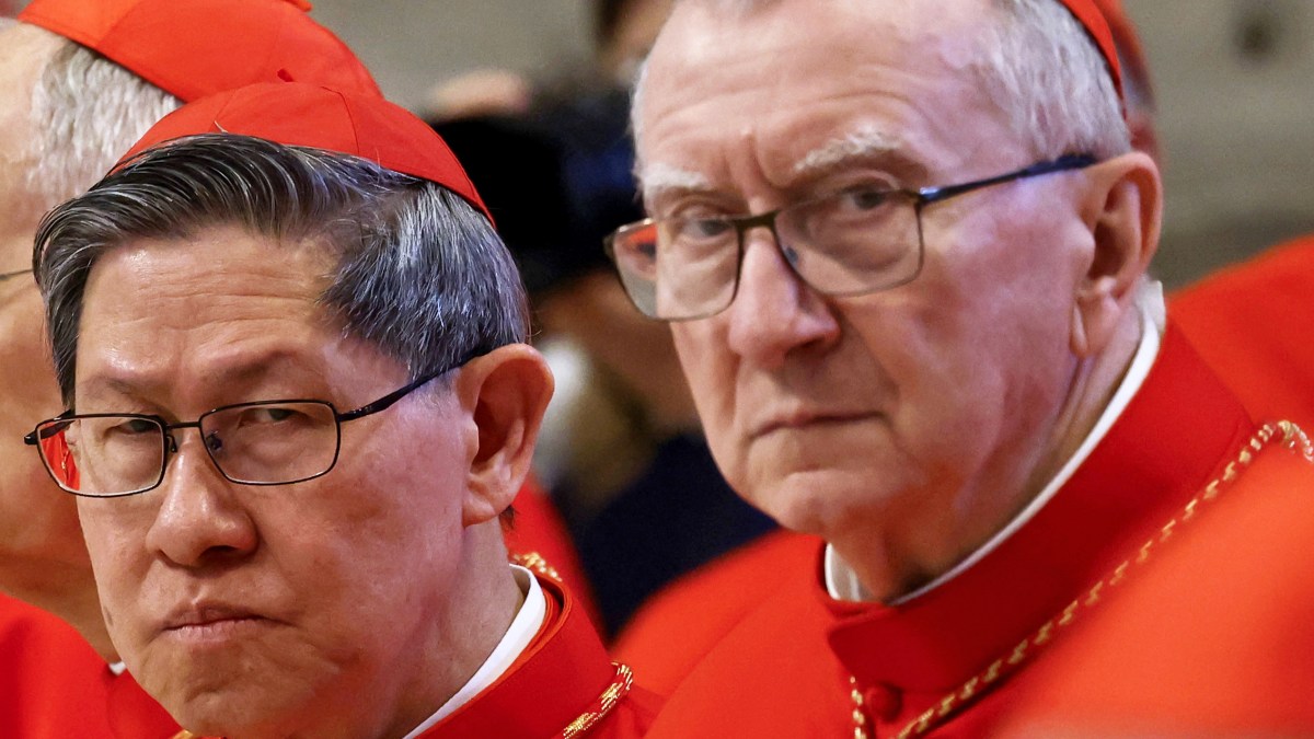 Two top contenders for next pope accused of mishandling child sex abuse ...